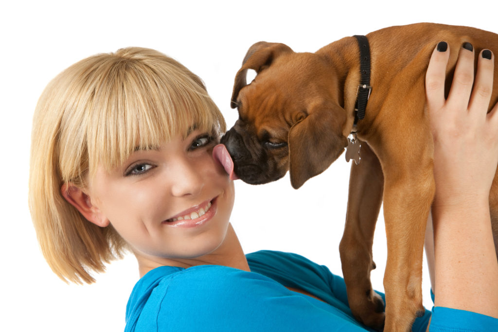 Edema in Dogs… What is it? And how can I help alleviate it?