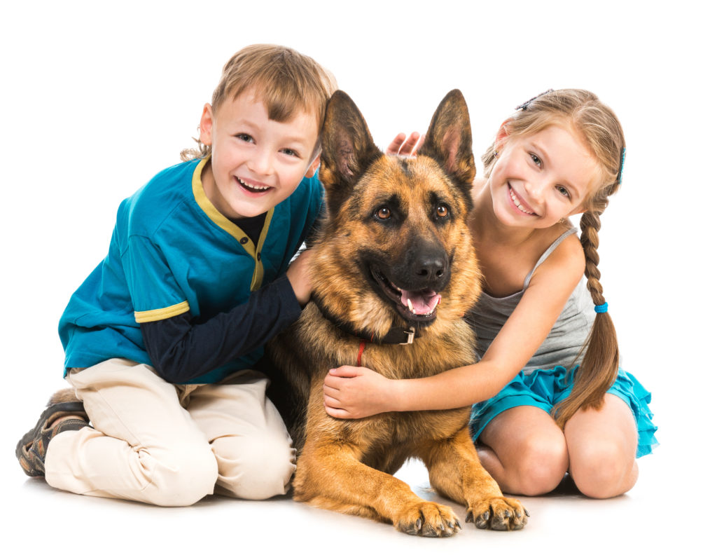 Ichthyosis in Dogs… Symptoms, expectations and costs!